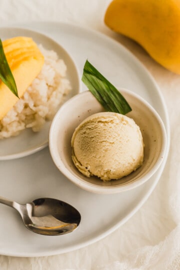Mango Sticky Rice Ice Cream | Sift & Simmer